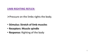 REGULATION OF POSTURE.pptx
