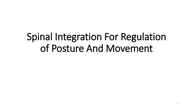REGULATION OF POSTURE.pptx