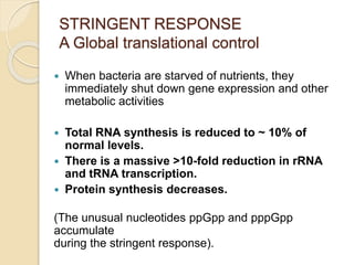 Regulation of protein synthesis | PPTX