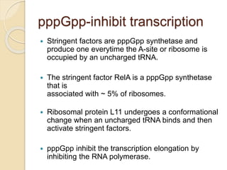 Regulation of protein synthesis | PPTX