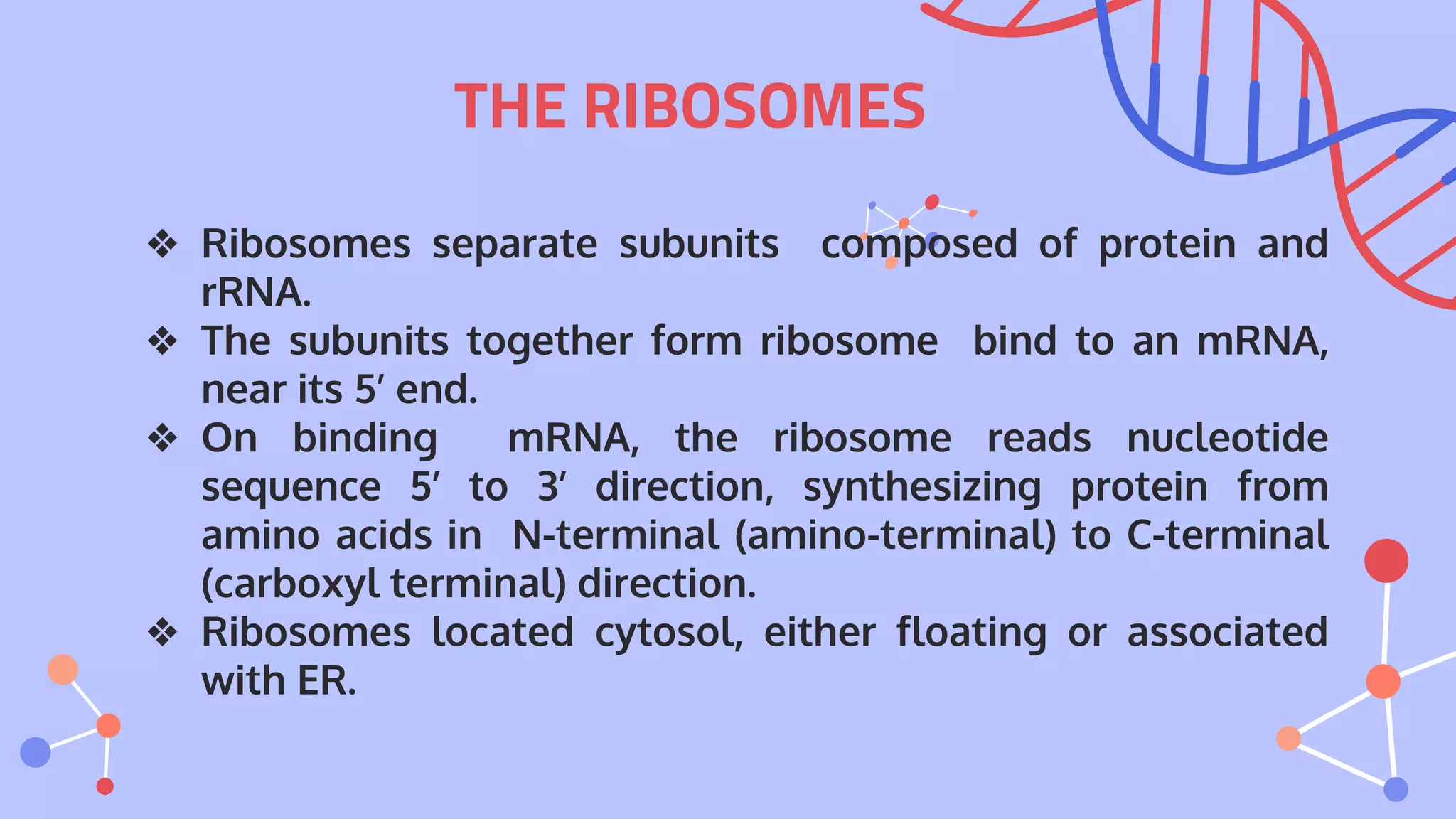 REGULATION OF PROTEIN SYNTHESIS IN RIBOSOMES.pptx