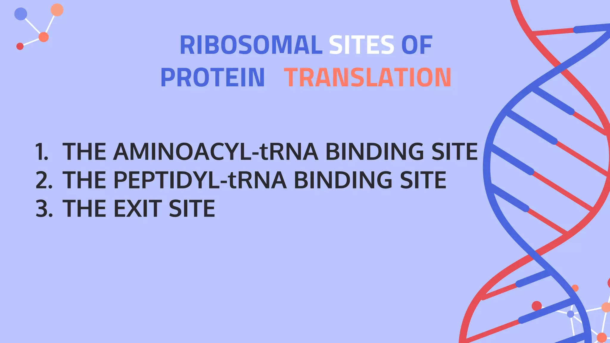 REGULATION OF PROTEIN SYNTHESIS IN RIBOSOMES.pptx