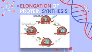 REGULATION OF PROTEIN SYNTHESIS IN RIBOSOMES.pptx