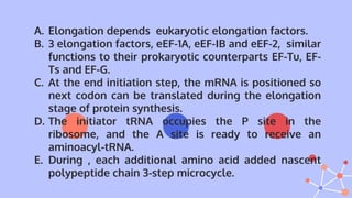 REGULATION OF PROTEIN SYNTHESIS IN RIBOSOMES.pptx