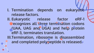 REGULATION OF PROTEIN SYNTHESIS IN RIBOSOMES.pptx