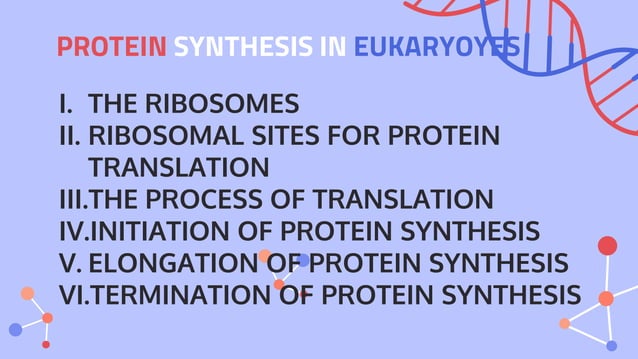 REGULATION OF PROTEIN SYNTHESIS IN RIBOSOMES.pptx | Programming Languages | Computing
