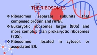 REGULATION OF PROTEIN SYNTHESIS IN RIBOSOMES.pptx