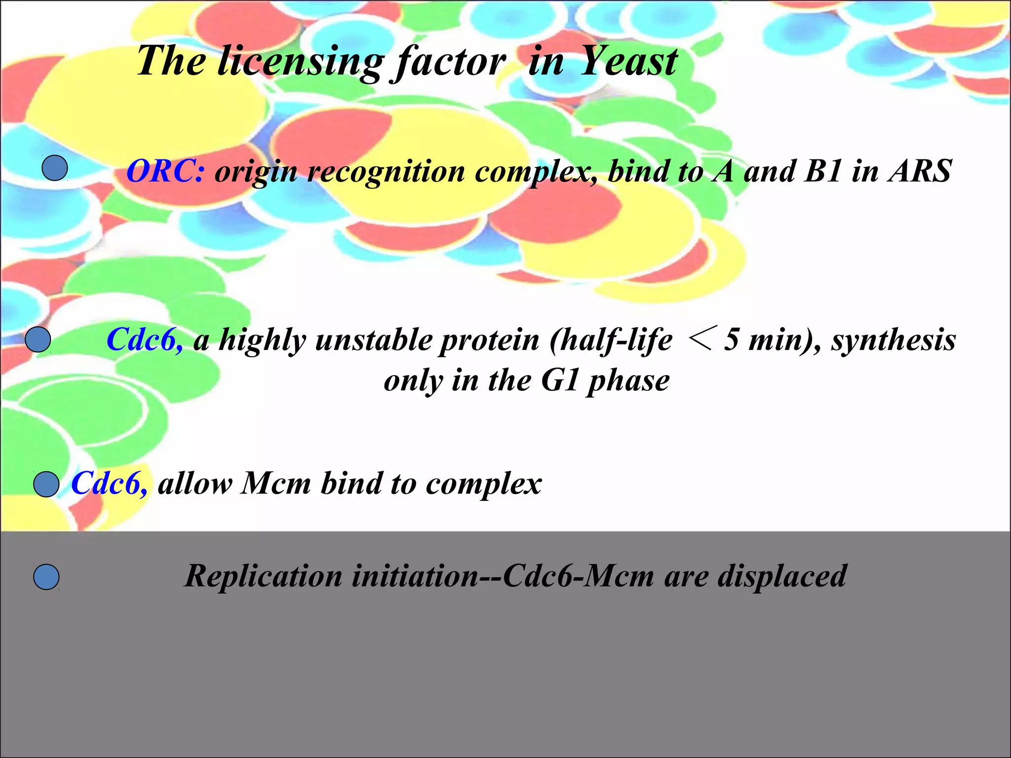 Regulation of DNA replication | PPT