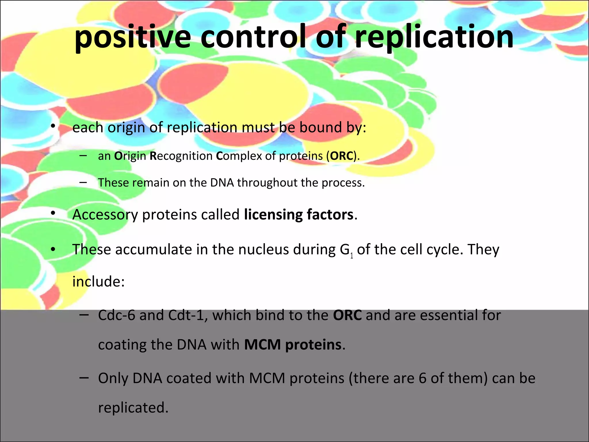 Regulation of DNA replication | PPT