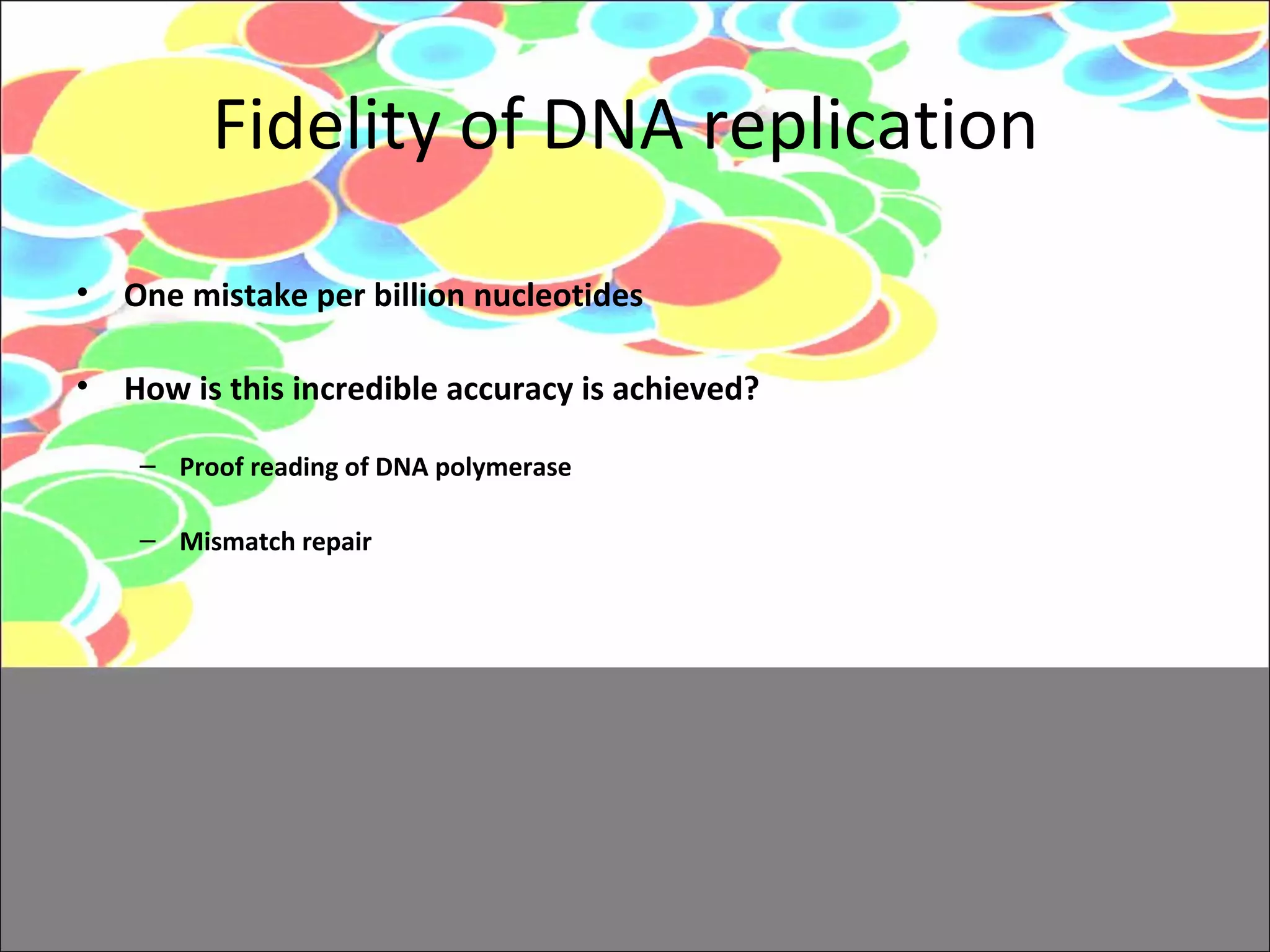 Regulation of DNA replication | PPT