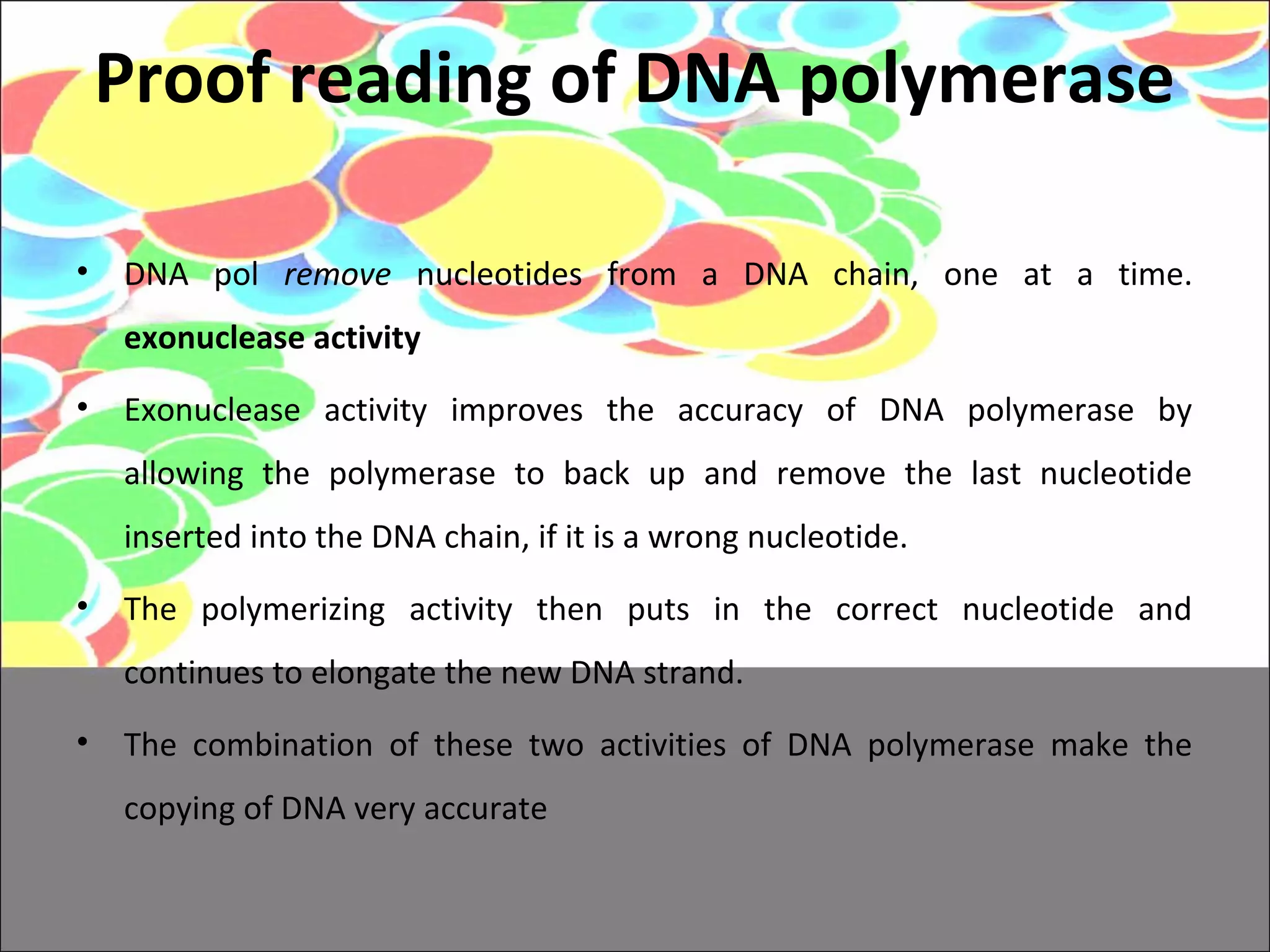 Regulation of DNA replication | PPT
