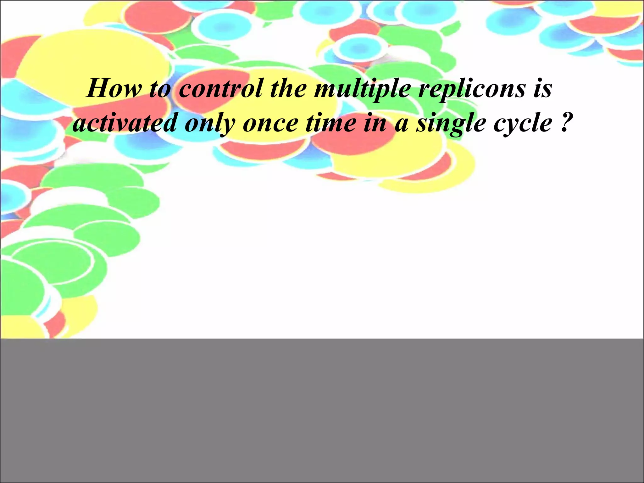 Regulation of DNA replication | PPT