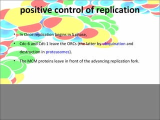 Regulation of DNA replication | PPT