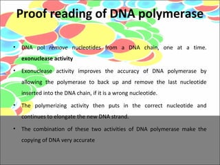 Regulation of DNA replication | PPT