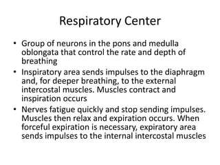 Regulation of respiration | PPTX