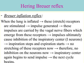 Regulation of respiration | PPT