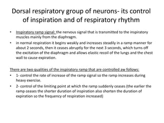 Regulation of respiration | PPTX