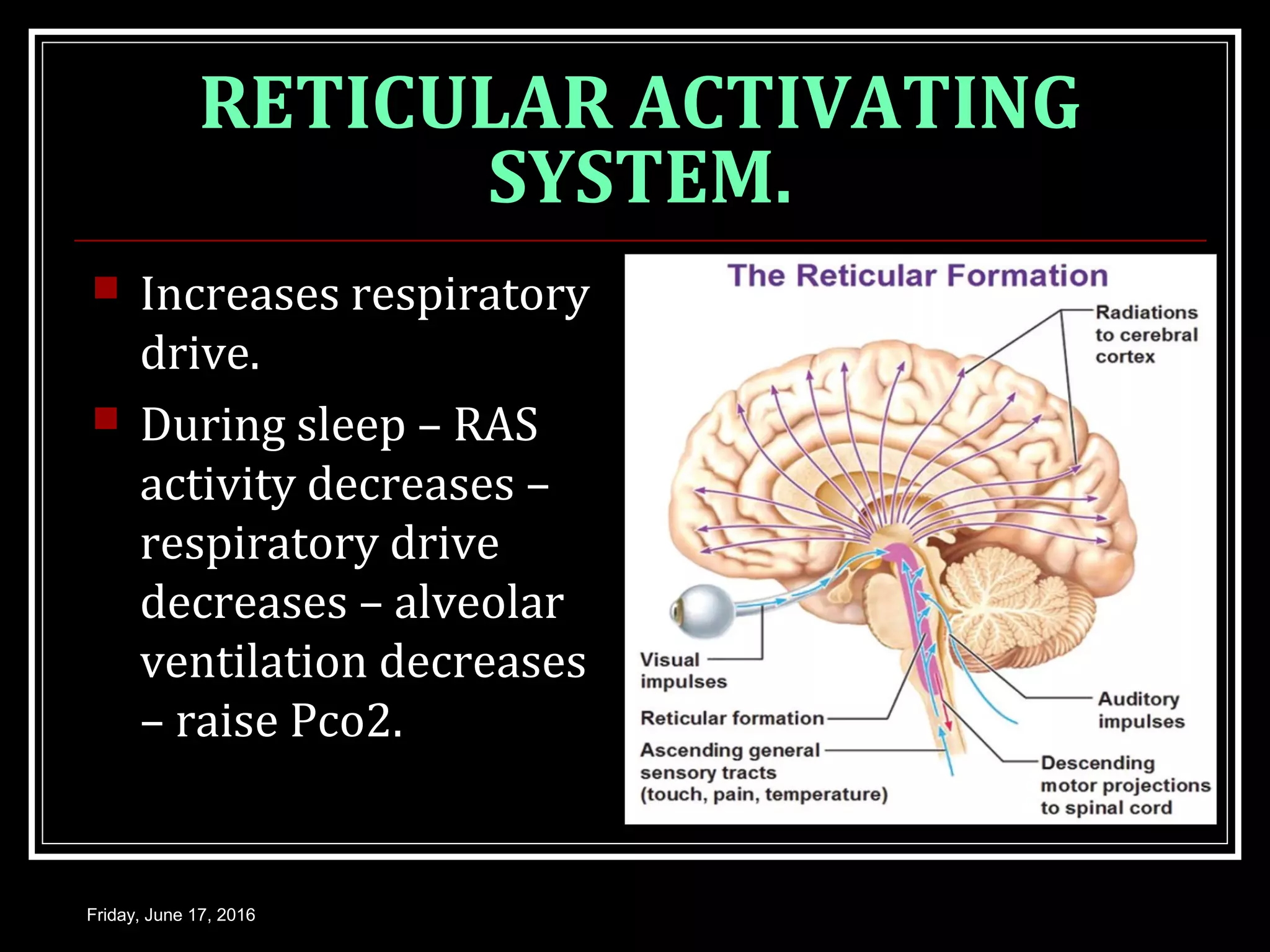 REGULATION OF RESPIRATION | PPT