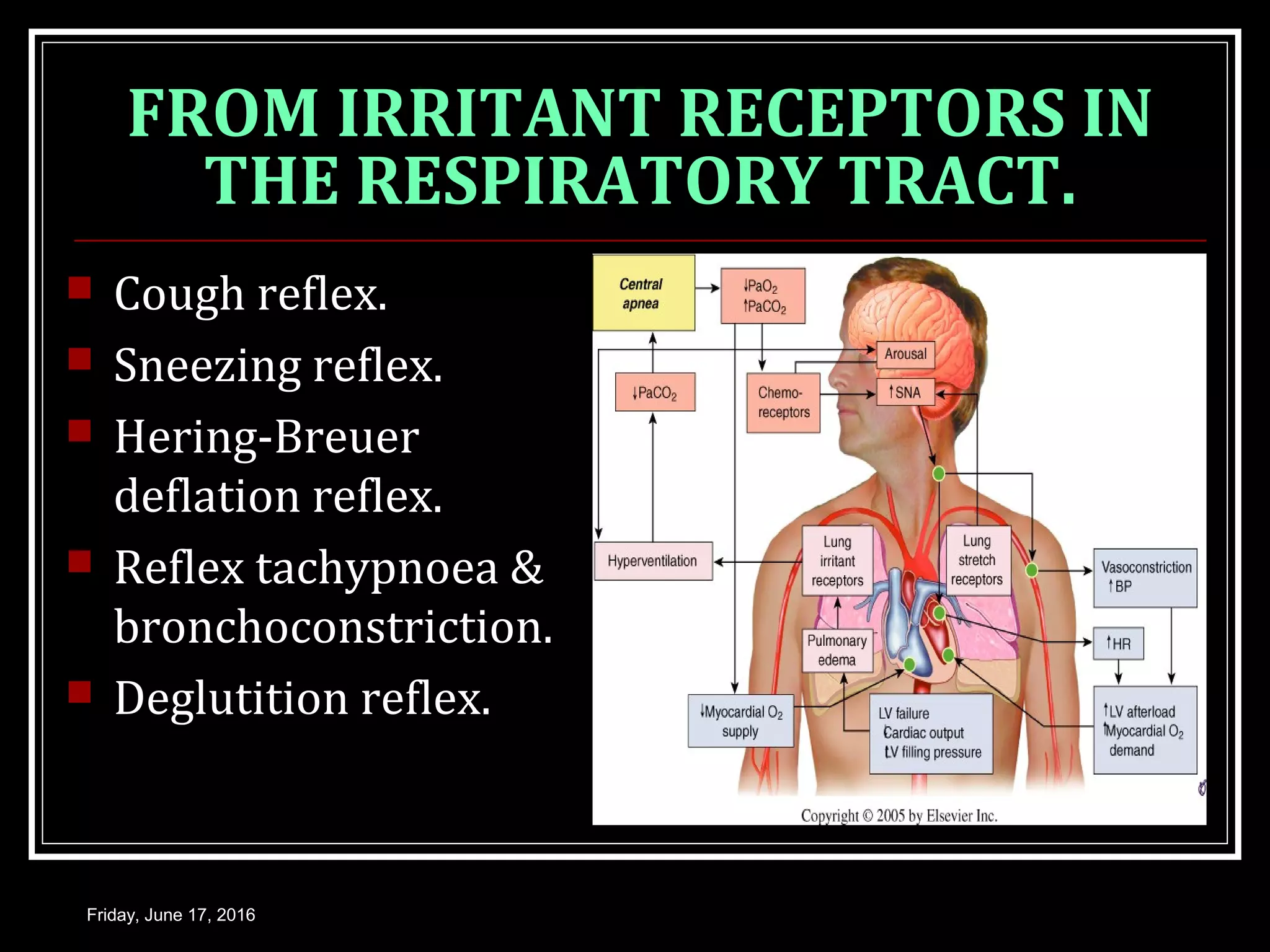 REGULATION OF RESPIRATION | PPT