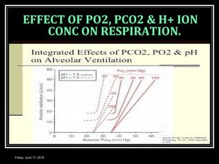 REGULATION OF RESPIRATION | PPT