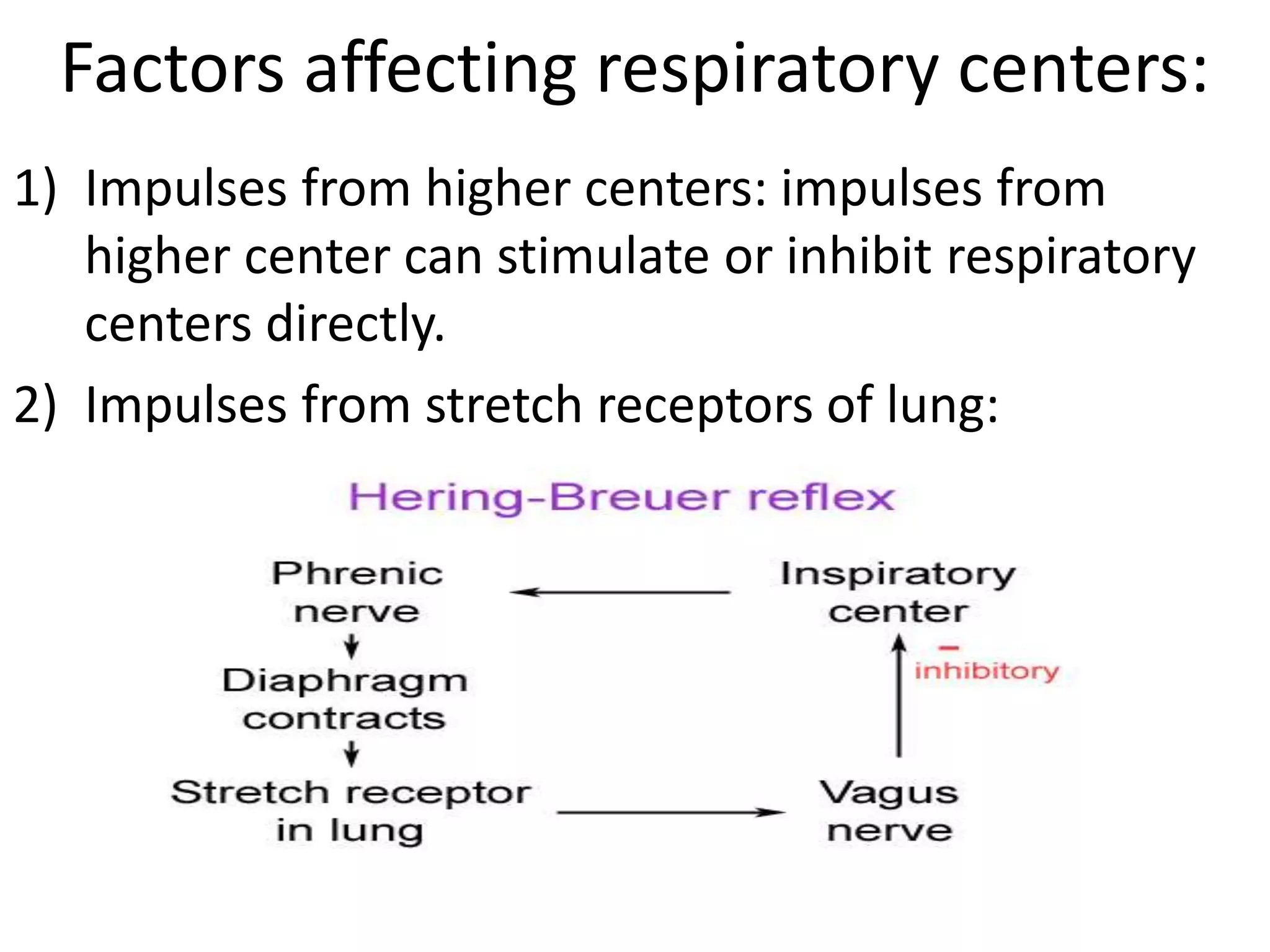 Regulation of respiration | PPTX