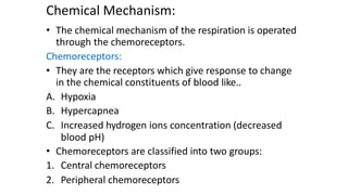 Regulation of respiration | PPTX