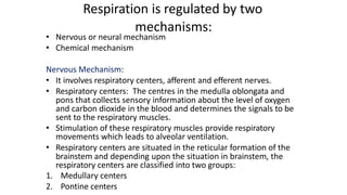 Regulation of respiration | PPT