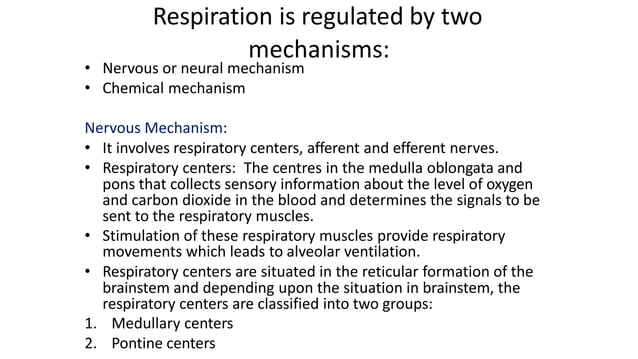Regulation of respiration | PPT
