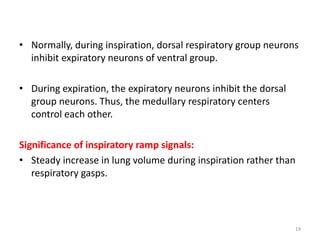 Regulation of Respiration | PPSX