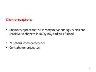 Regulation of Respiration | PPSX