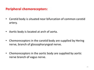 Regulation of Respiration | PPSX