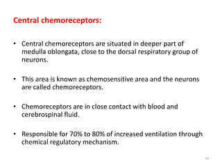 Regulation of Respiration | PPSX