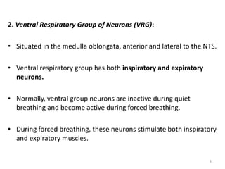 Regulation of Respiration | PPSX