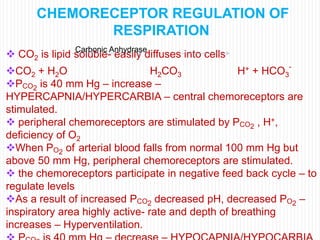Regulation of respiration | PPTX