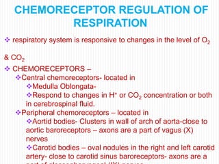 Regulation of respiration | PPTX | Lung and Respiratory Health ...