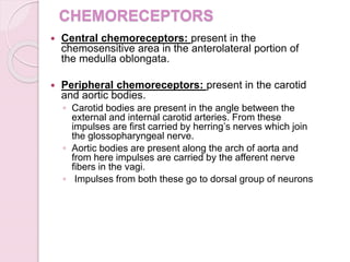 Regulation of respiration (the guyton and hall physiology) | PPTX