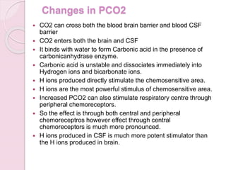 Regulation of respiration (the guyton and hall physiology) | PPTX