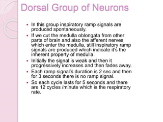 Regulation of respiration (the guyton and hall physiology) | PPTX
