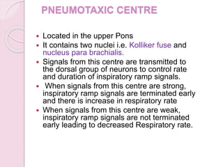 Regulation of respiration (the guyton and hall physiology) | PPTX