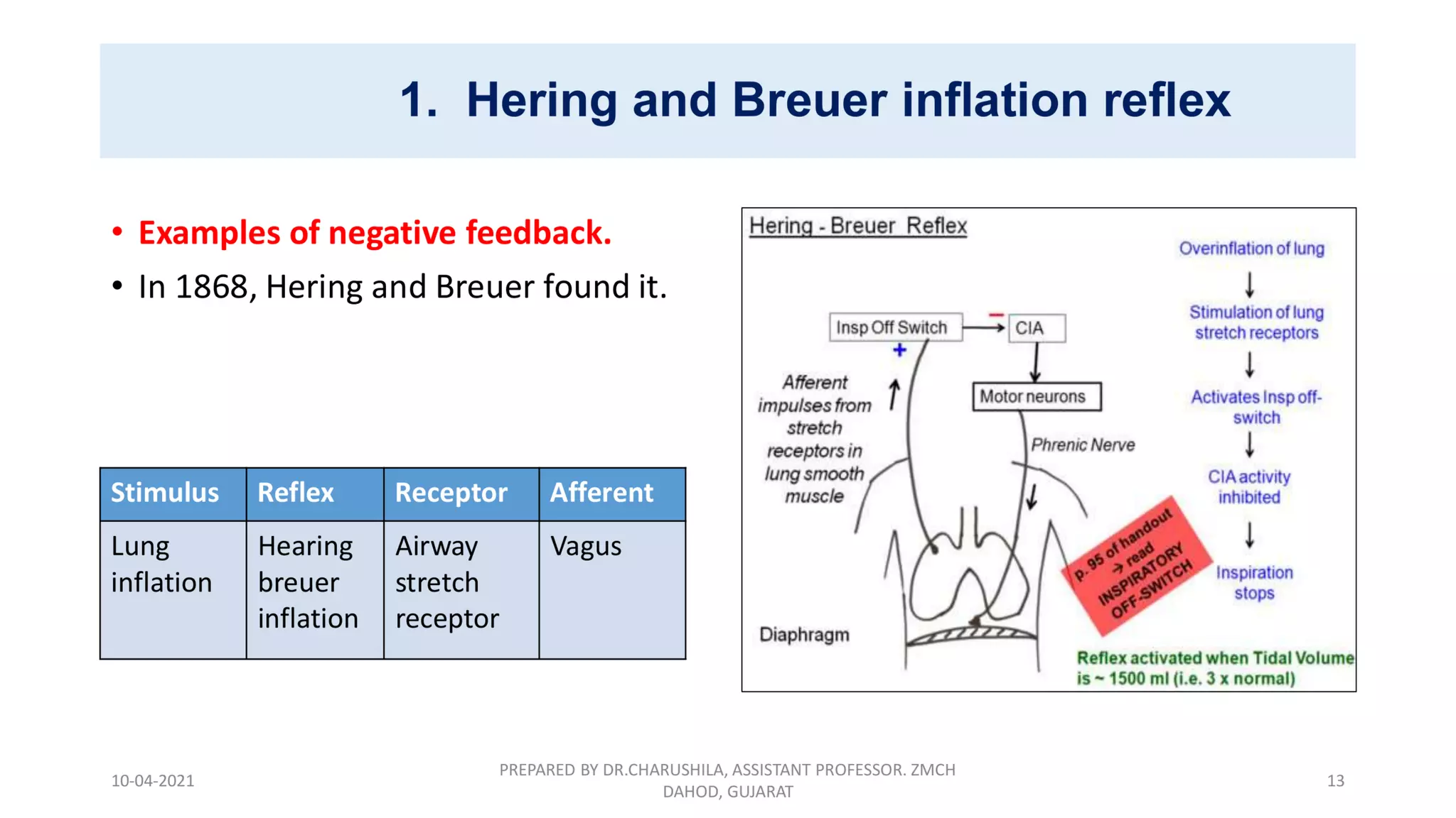 Voluntary control of respiration, respiratory reflexes | PDF