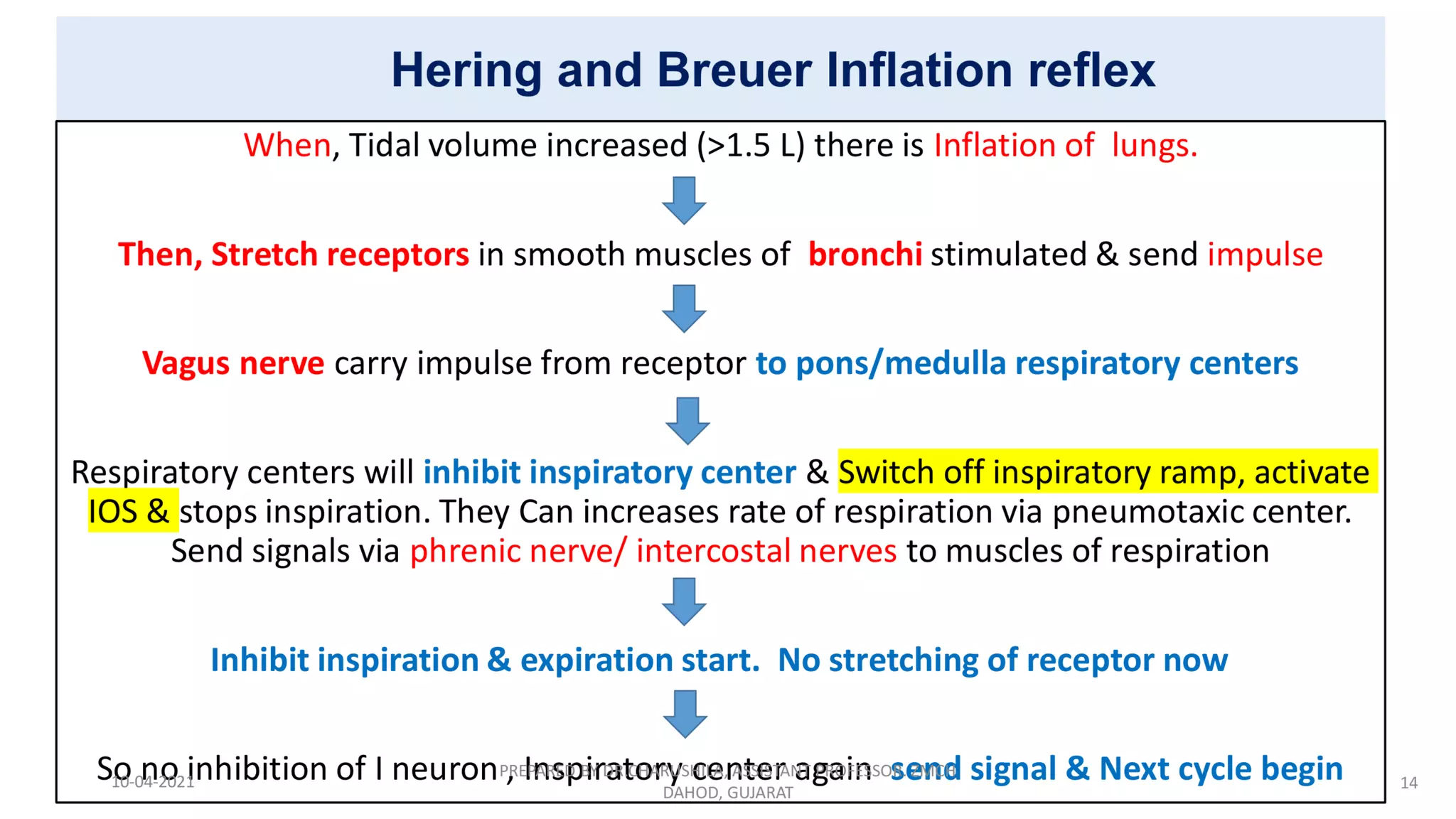Voluntary control of respiration, respiratory reflexes | PDF