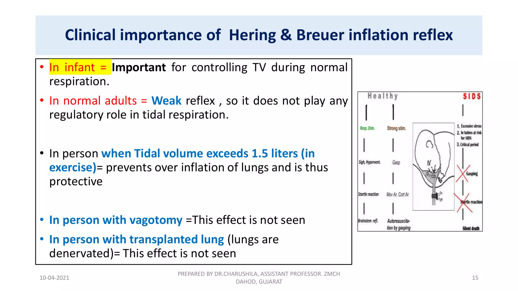 Voluntary control of respiration, respiratory reflexes | PDF