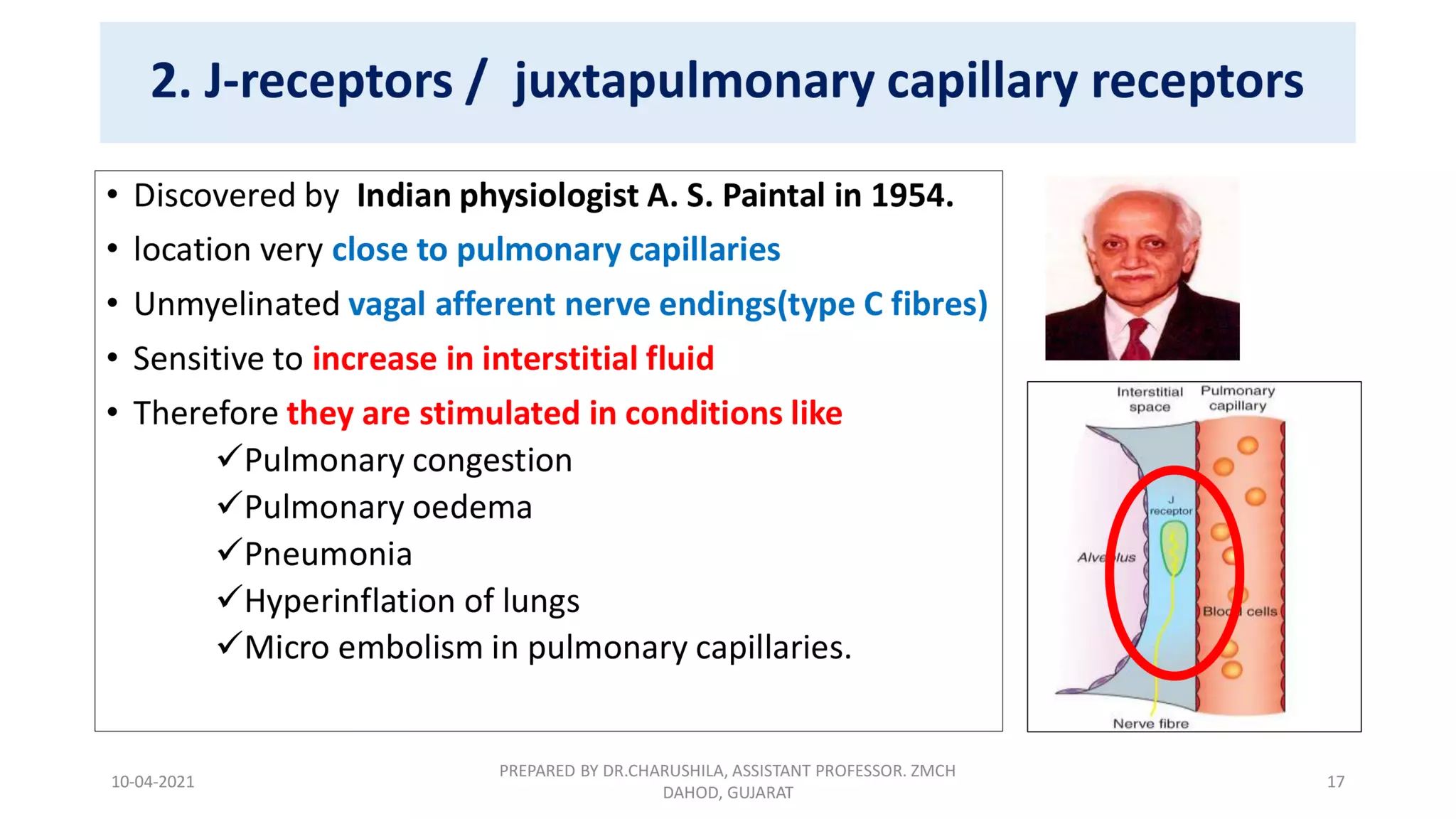 Voluntary control of respiration, respiratory reflexes | PDF