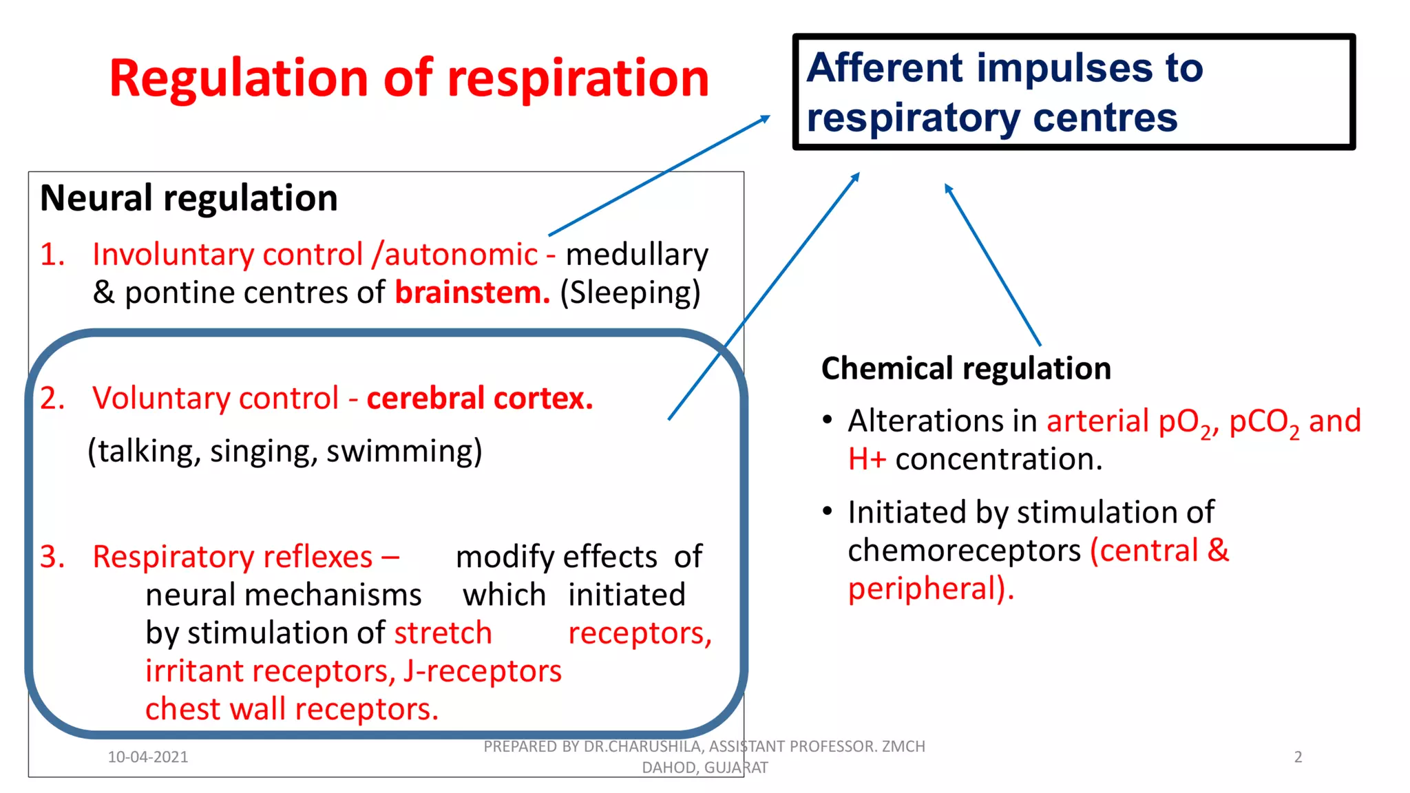 Voluntary control of respiration, respiratory reflexes | PDF