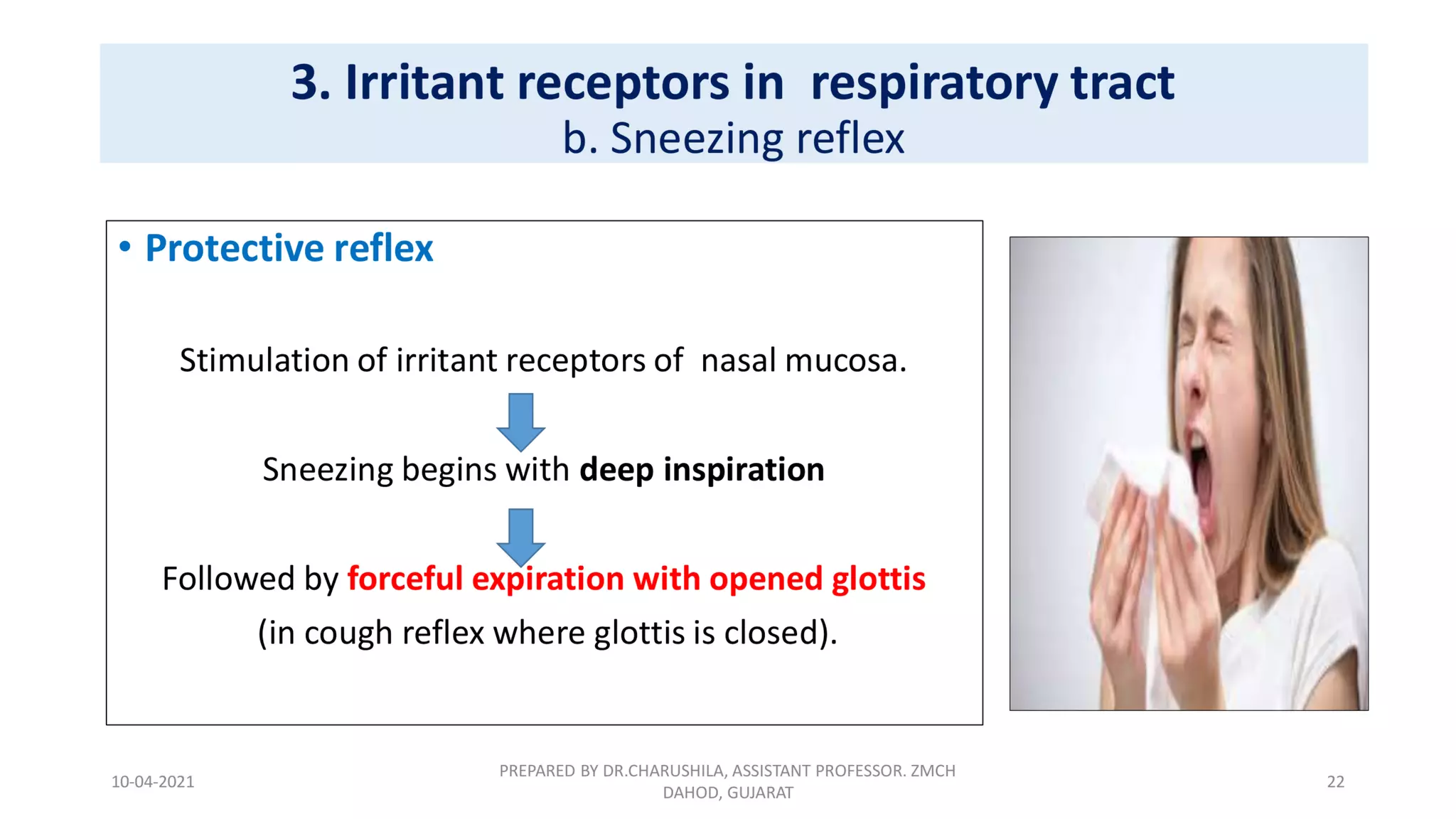 Voluntary control of respiration, respiratory reflexes | PDF