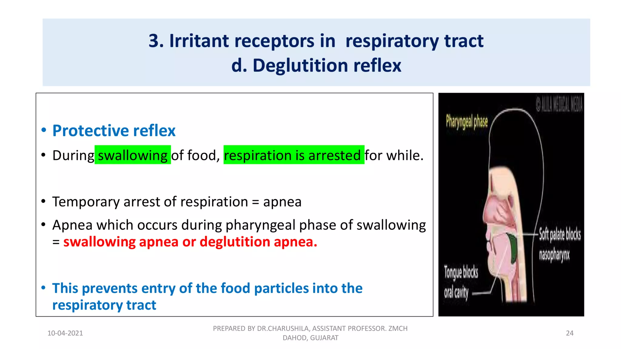 Voluntary control of respiration, respiratory reflexes | PDF
