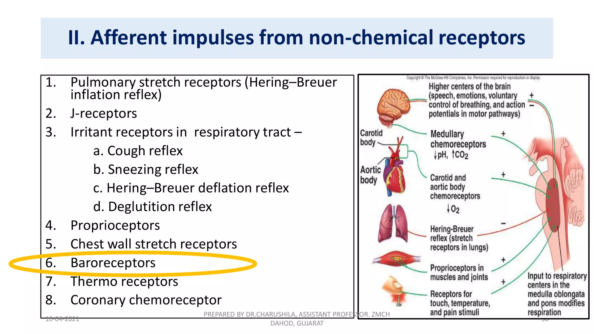 Voluntary control of respiration, respiratory reflexes | PDF