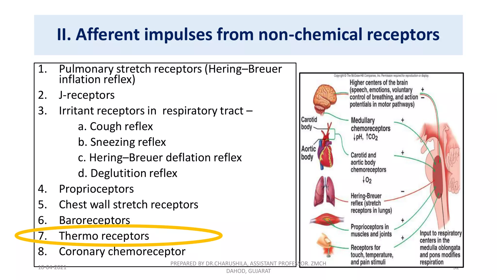 Voluntary control of respiration, respiratory reflexes | PDF