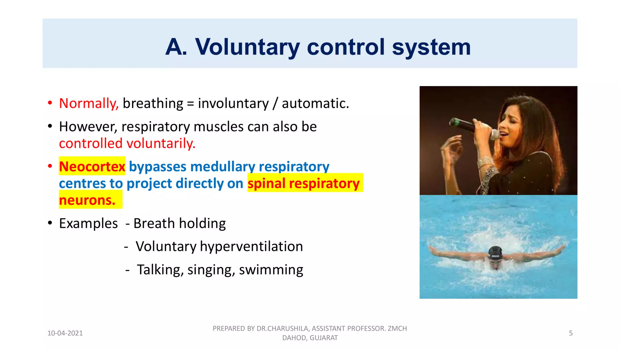 Voluntary control of respiration, respiratory reflexes | PDF