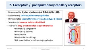 Voluntary control of respiration, respiratory reflexes | PDF